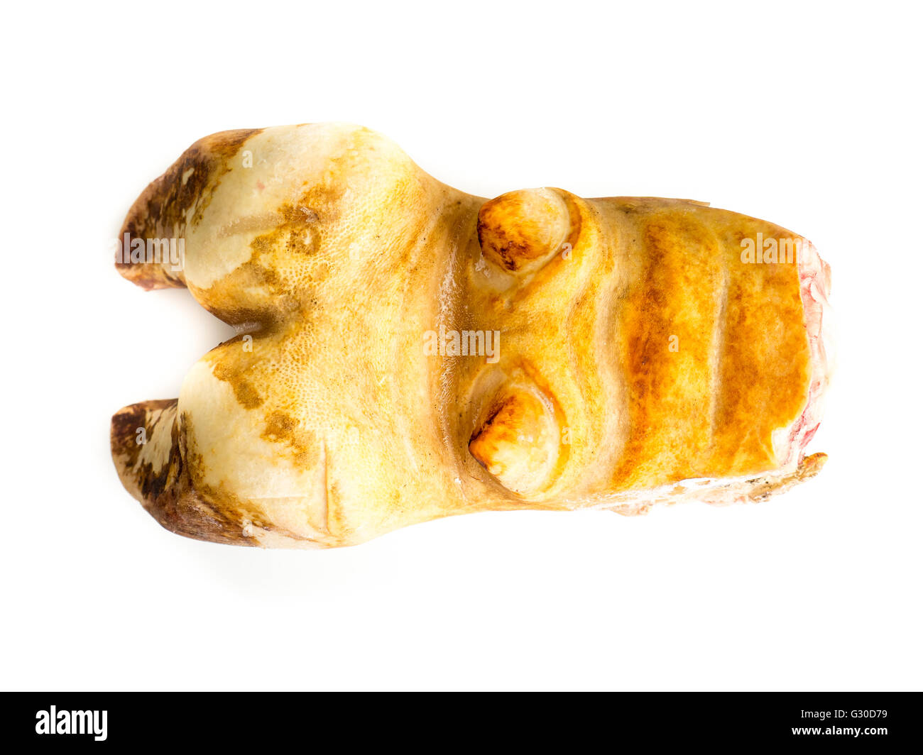 The raw cow hoof Stock Photo - Alamy