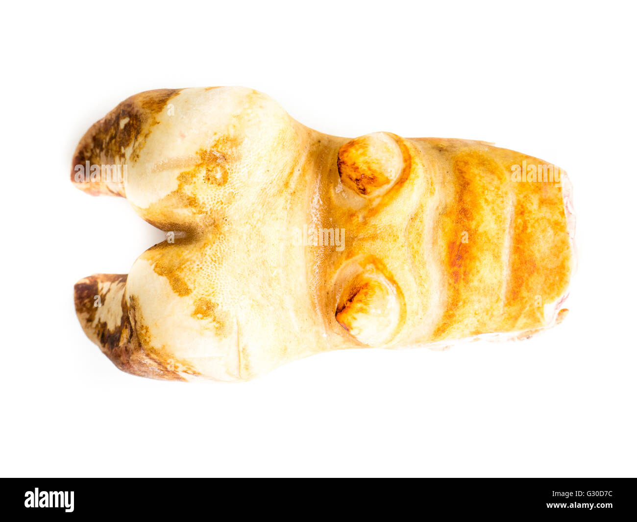 Cow hoof hi-res stock photography and images - Alamy