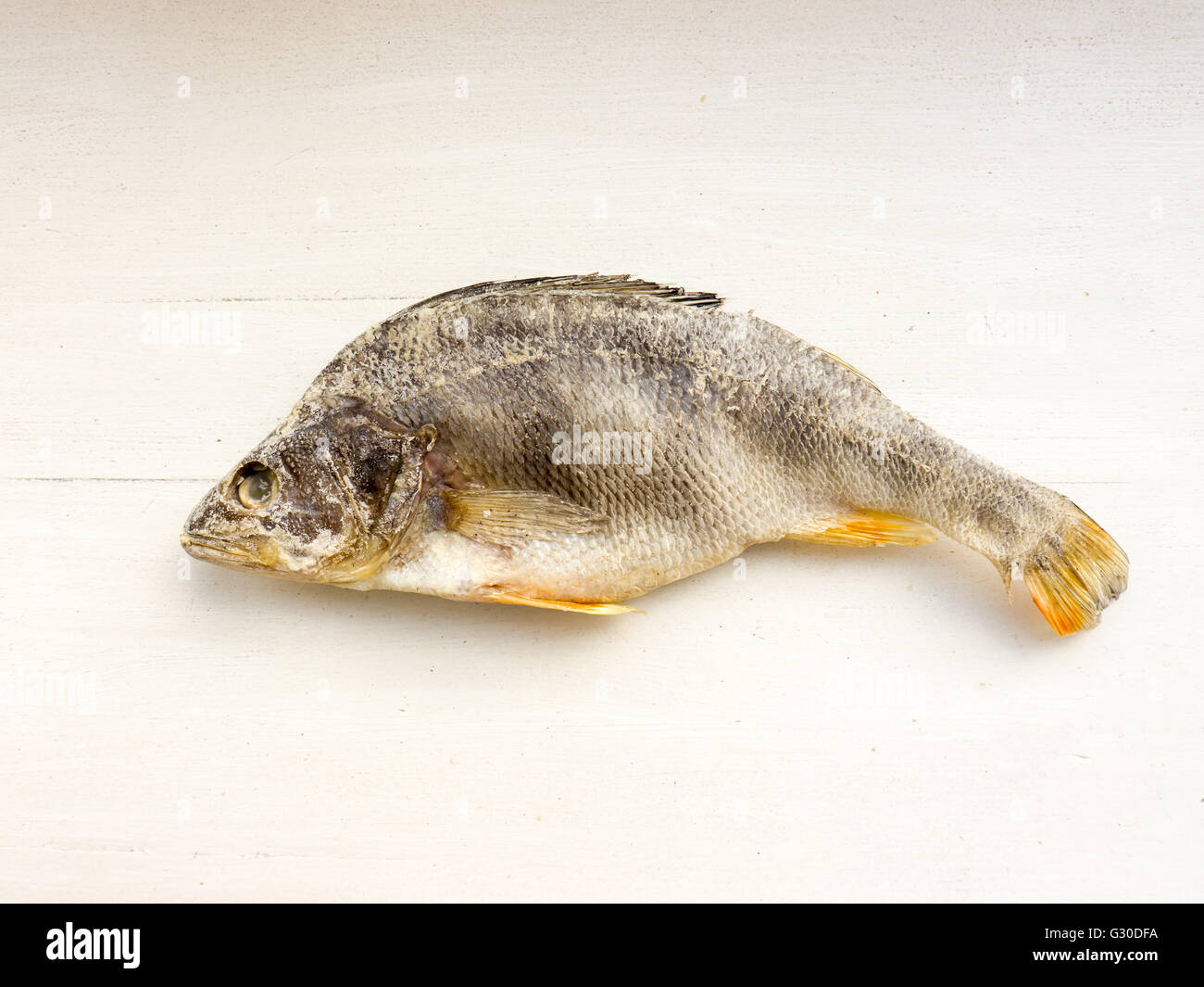 The Dried Fish on a color background Stock Photo - Alamy