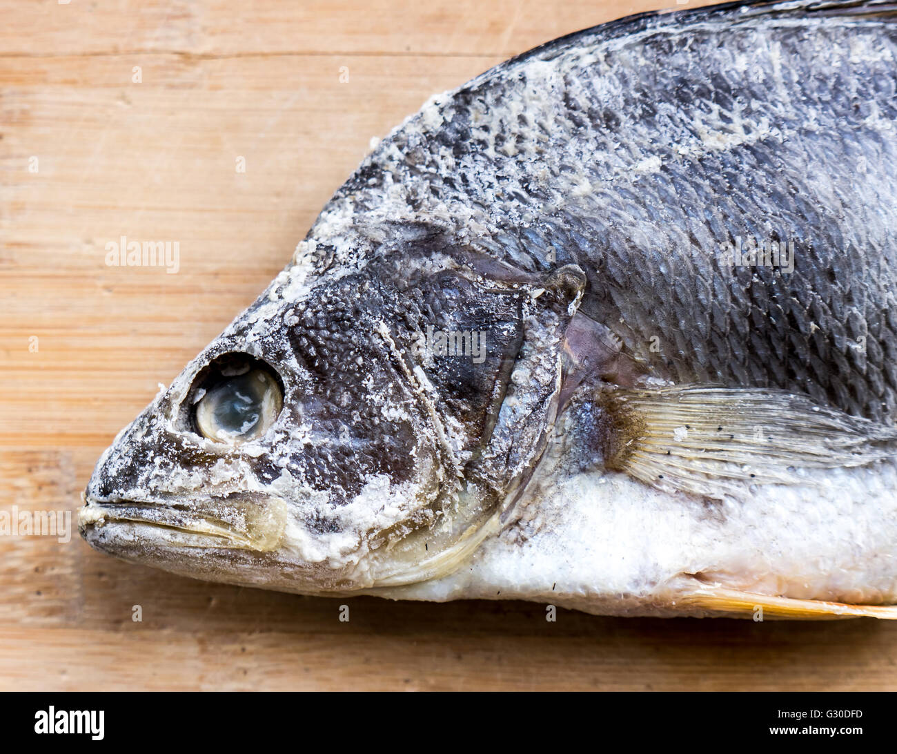 The Dried Fish on a color background Stock Photo - Alamy
