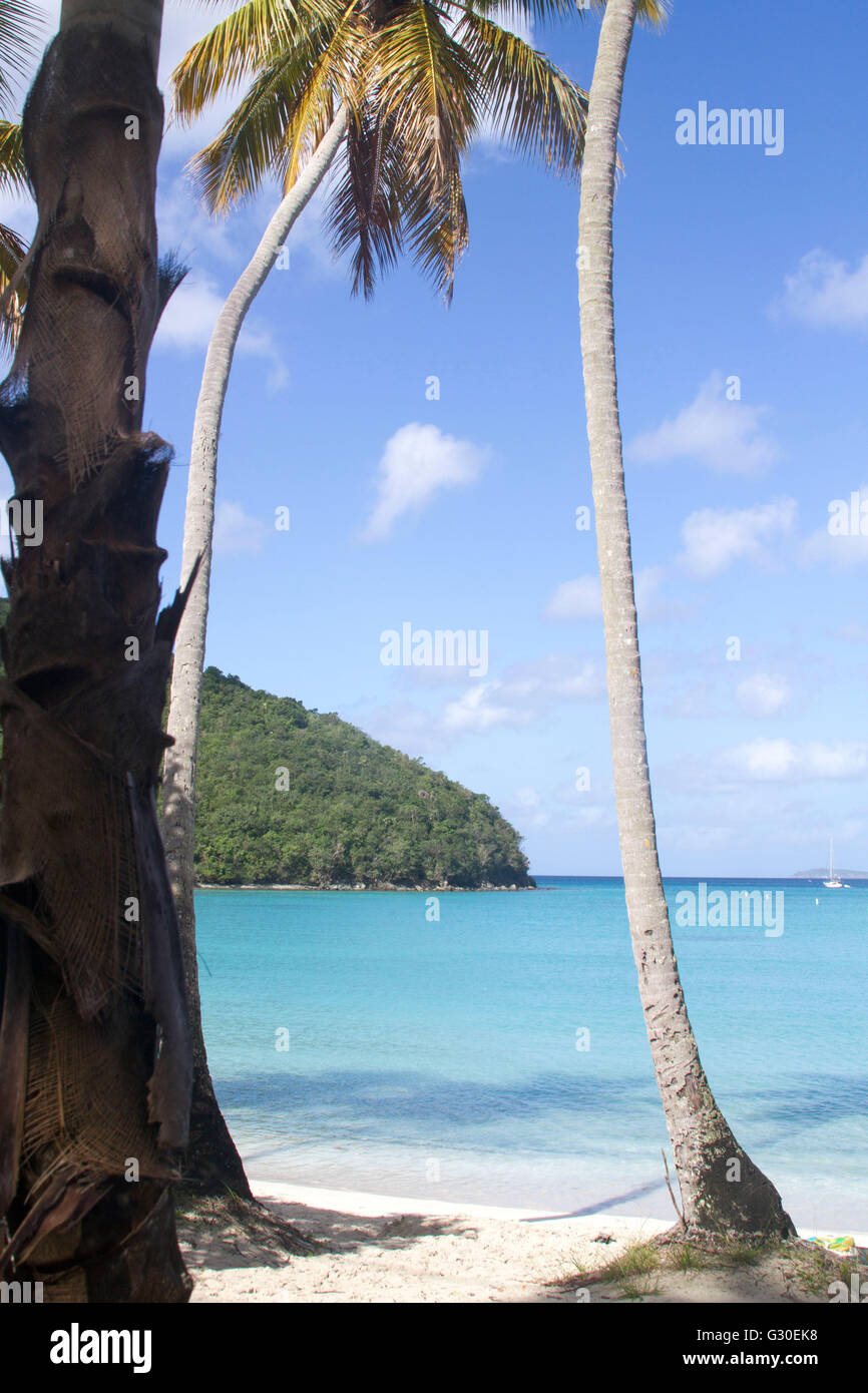Virgin islands national park beaches hi-res stock photography and ...