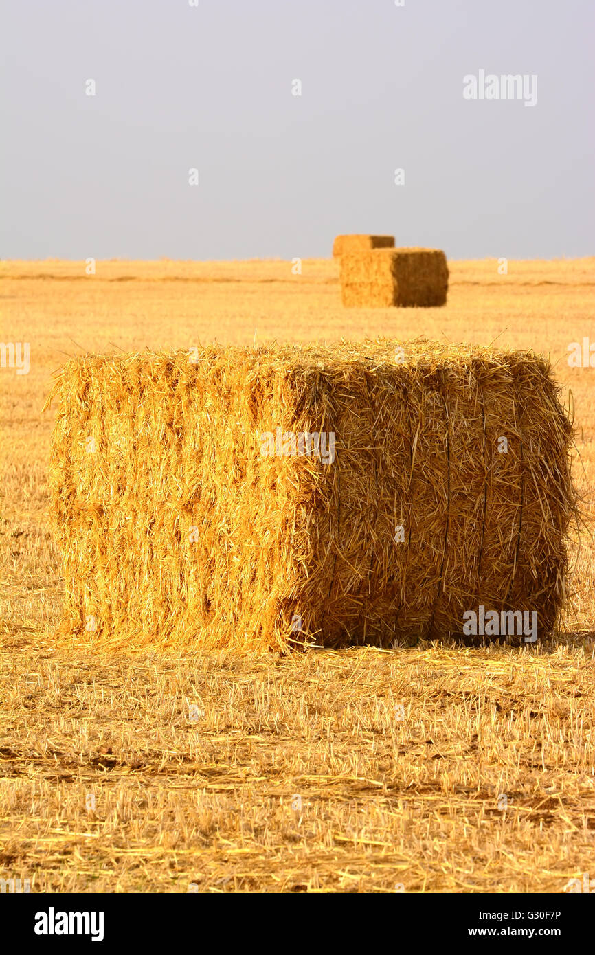 Bale shape hi-res stock photography and images - Alamy