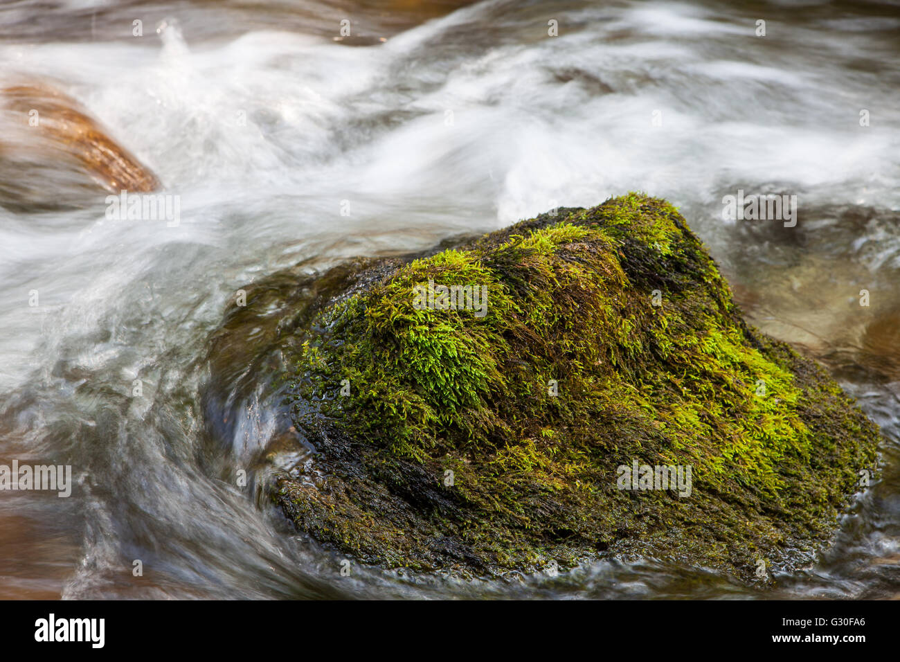 Moosy rocks hi-res stock photography and images - Alamy