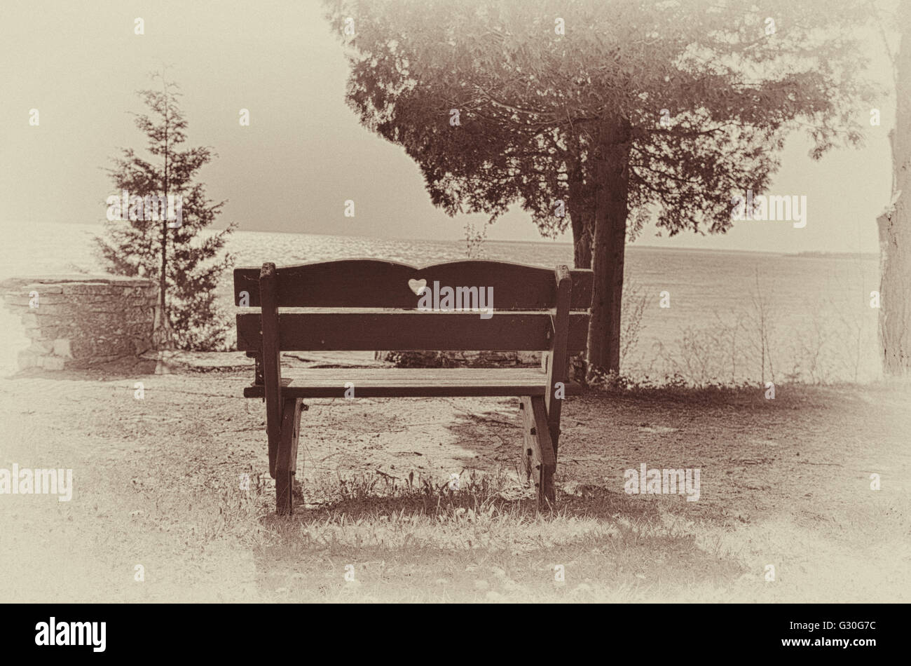 Old bench tree hi-res stock photography and images - Alamy