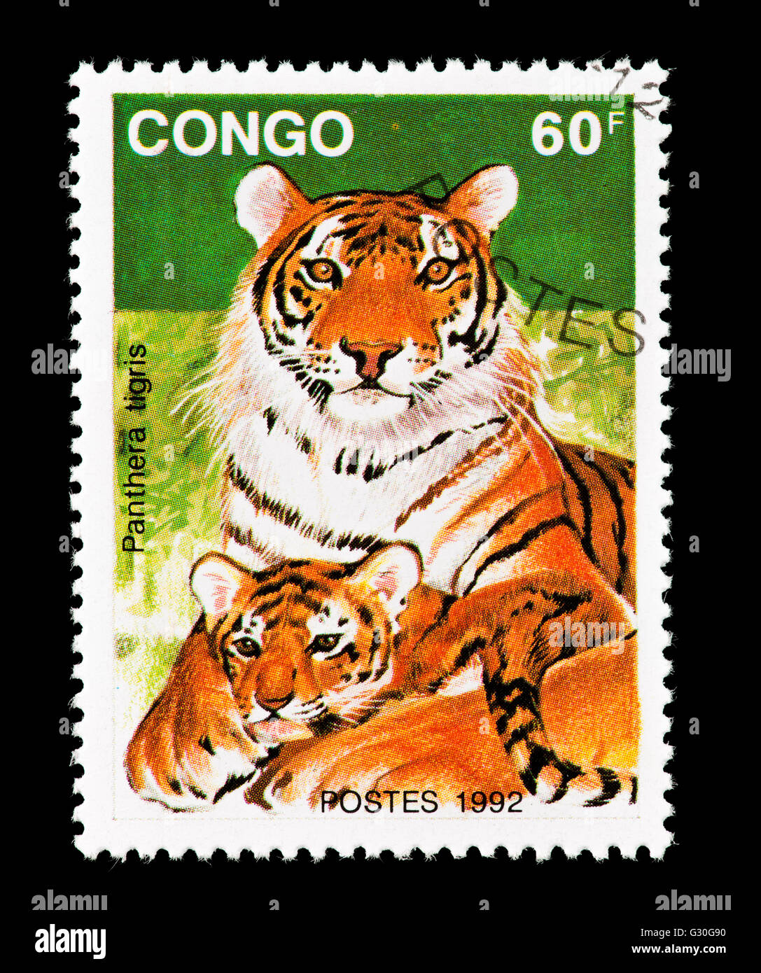 Postage stamp from the Congo depicting a tiger and cub (Panthera tigris ...