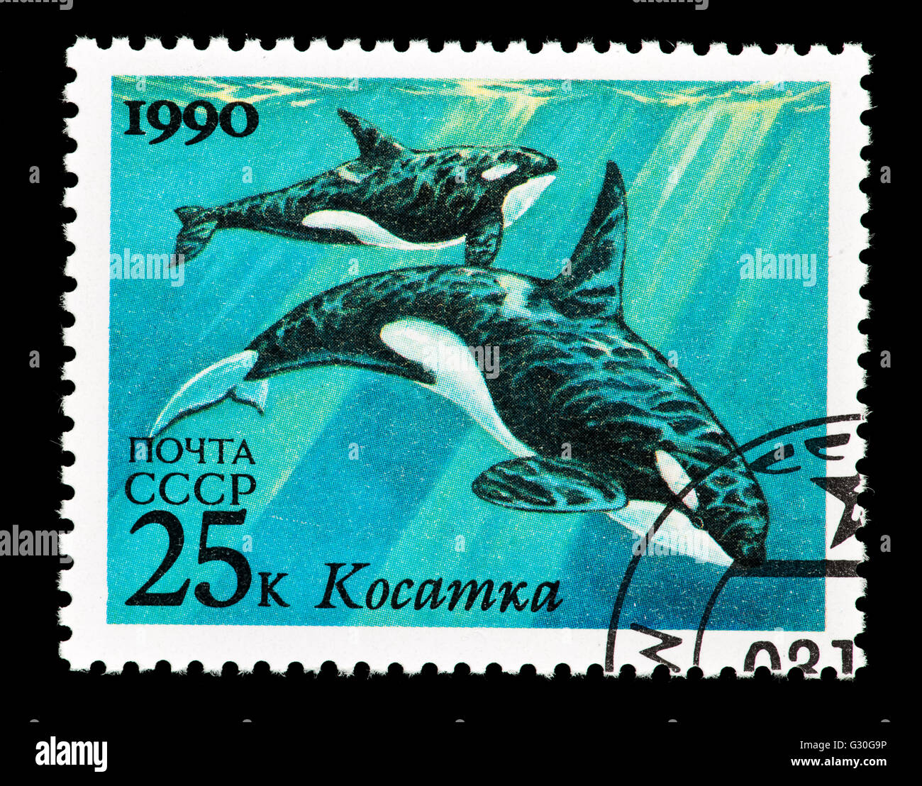 Postage stamp from the Soviet Union depicting killer whale (Orcinus ...