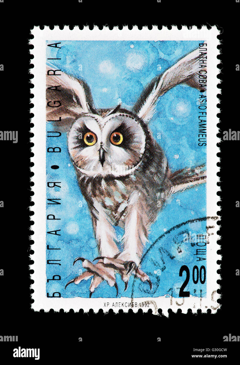 Postage stamp from Bulgaria depicting a short-eared owl (Asio flammeus ...