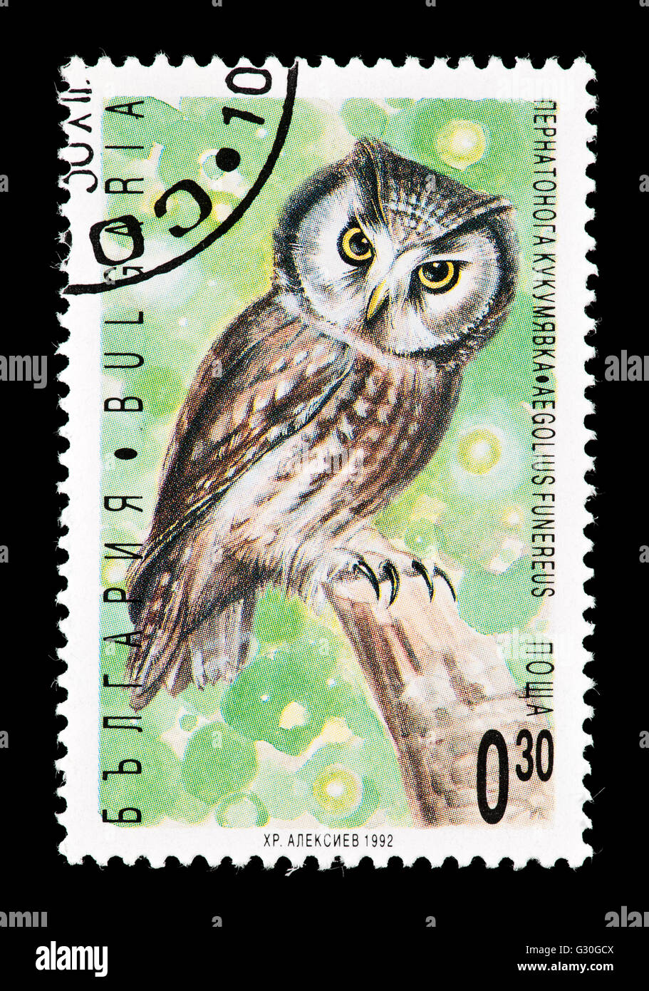 Postage stamp from Bulgaria depicting a boreal owl (Aegolius funereus ...