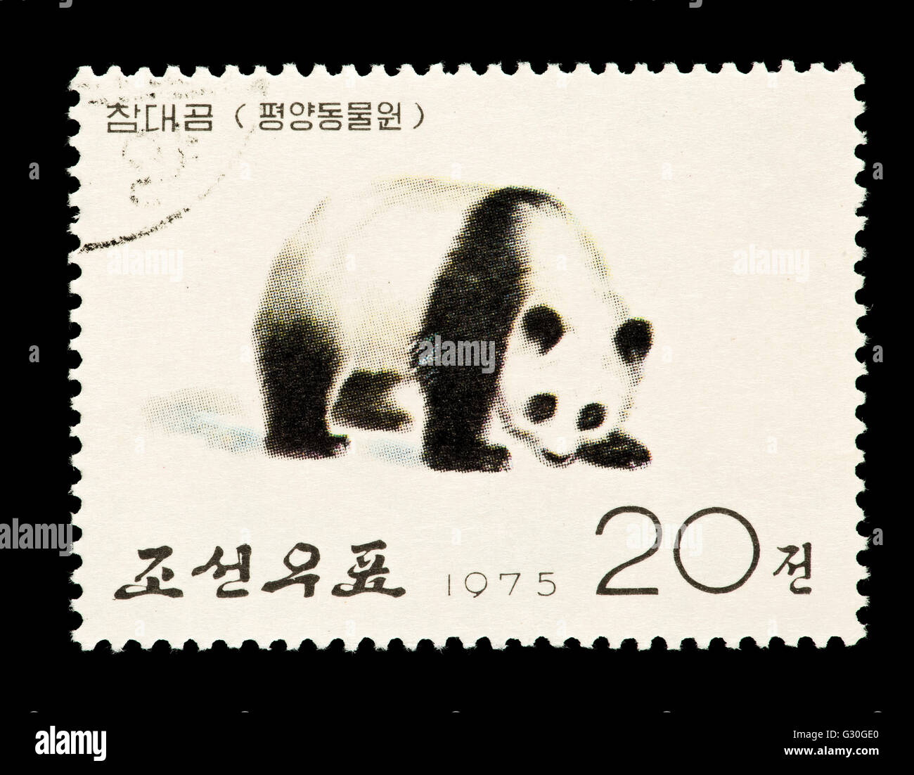 Postage stamp from China depicting a giant panda bear (Ailuropoda ...