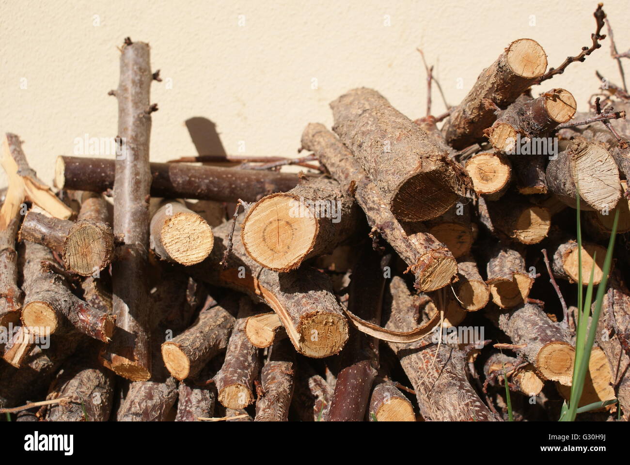 Wood block texture hi-res stock photography and images - Alamy