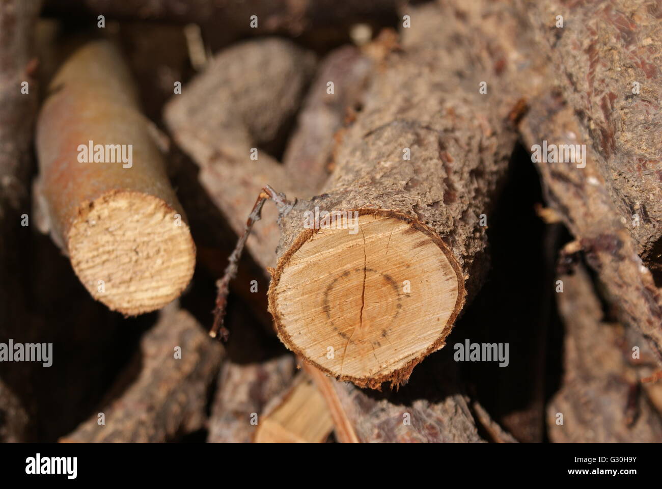Wood block texture hi-res stock photography and images - Alamy