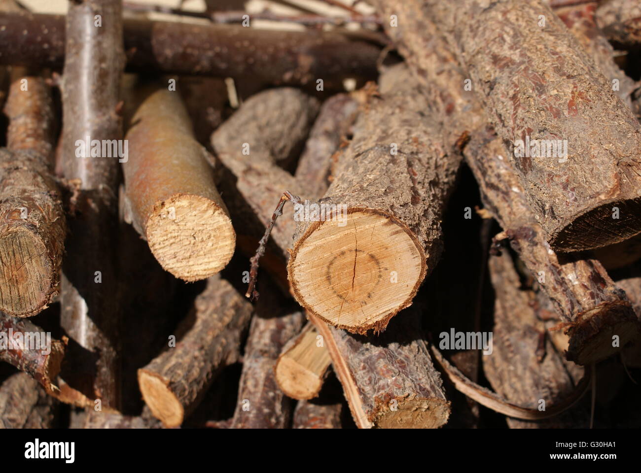 Wood block texture hi-res stock photography and images - Alamy