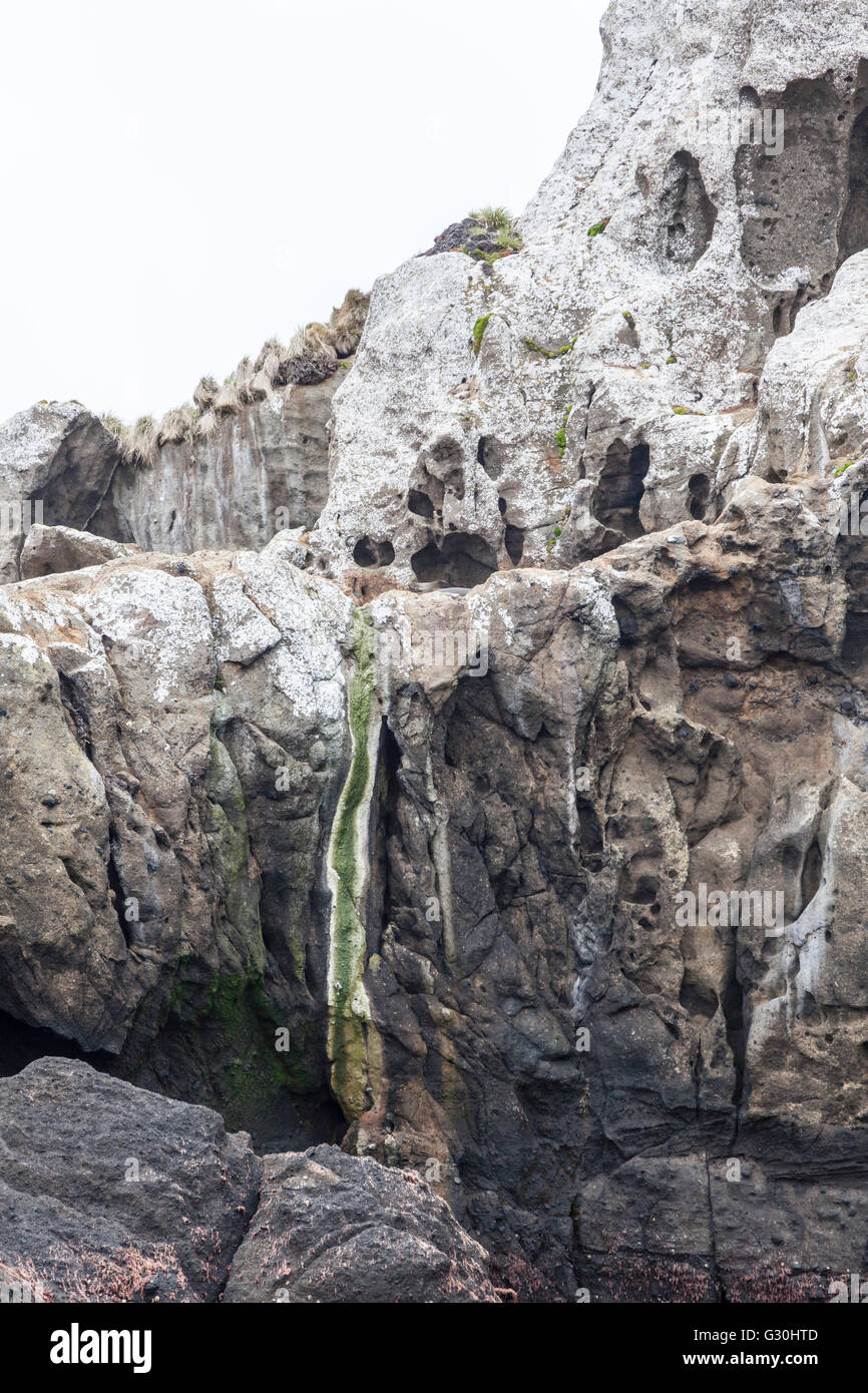 Rock formations at Antipodes Island, New Zealand sub-Antarctic Stock ...