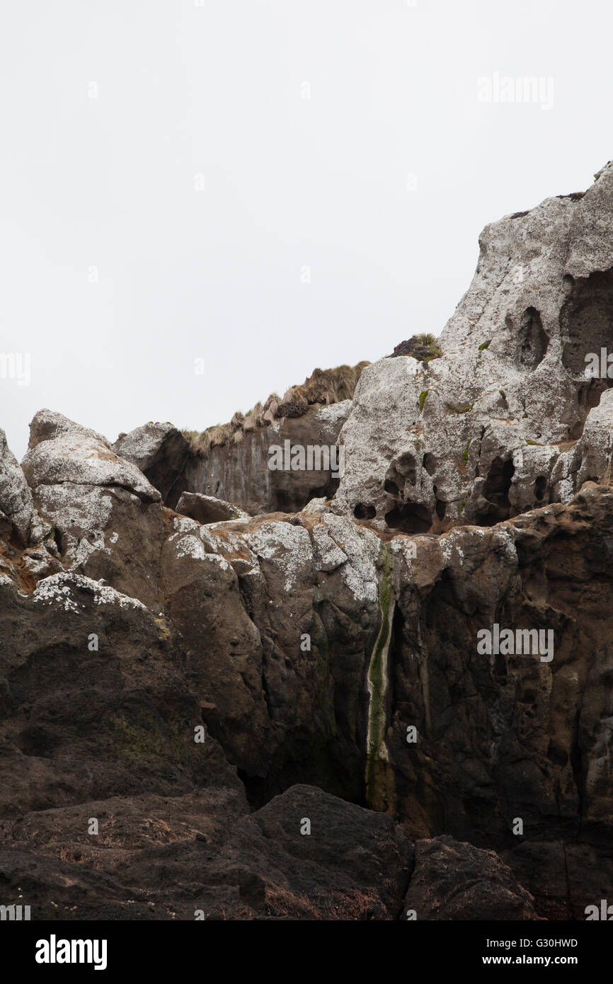 Rock formations at Antipodes Island, New Zealand sub-Antarctic Stock ...
