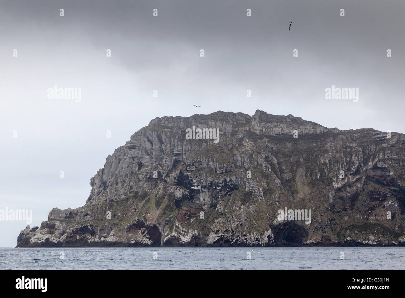 Antipodes islands hi-res stock photography and images - Alamy
