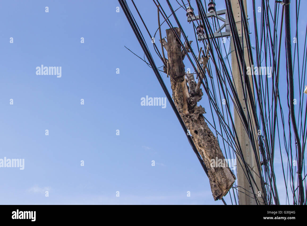 Timber technology hi-res stock photography and images - Alamy