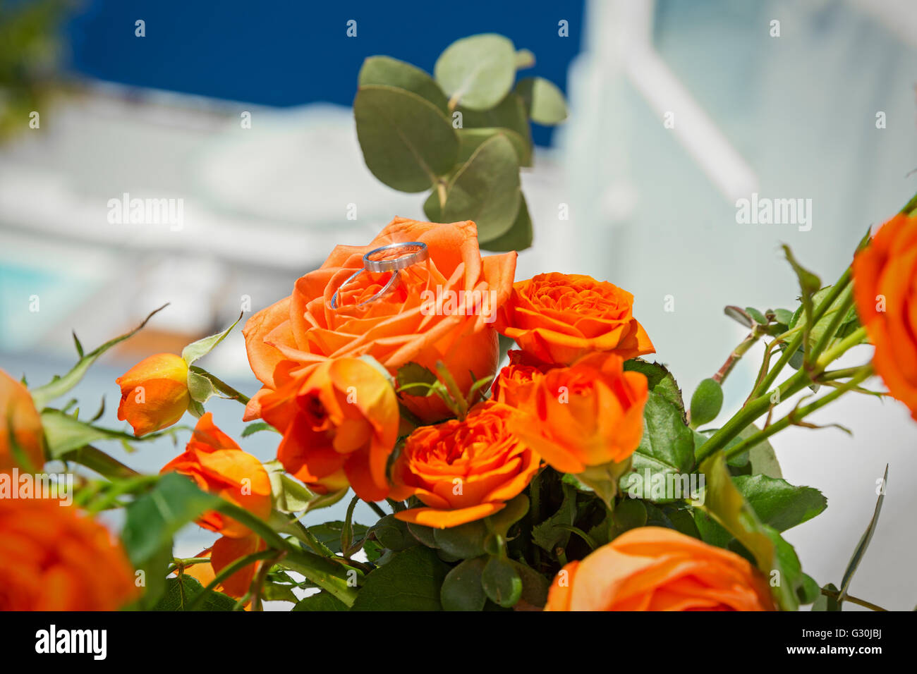 Roses with rings hi-res stock photography and images - Alamy
