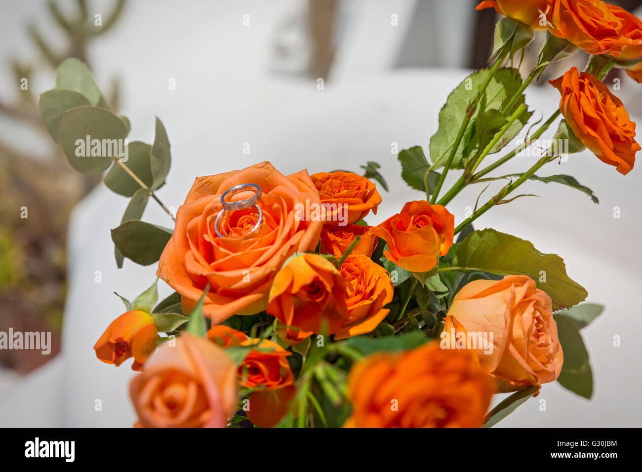 Wedding rings rose petals hi-res stock photography and images - Alamy