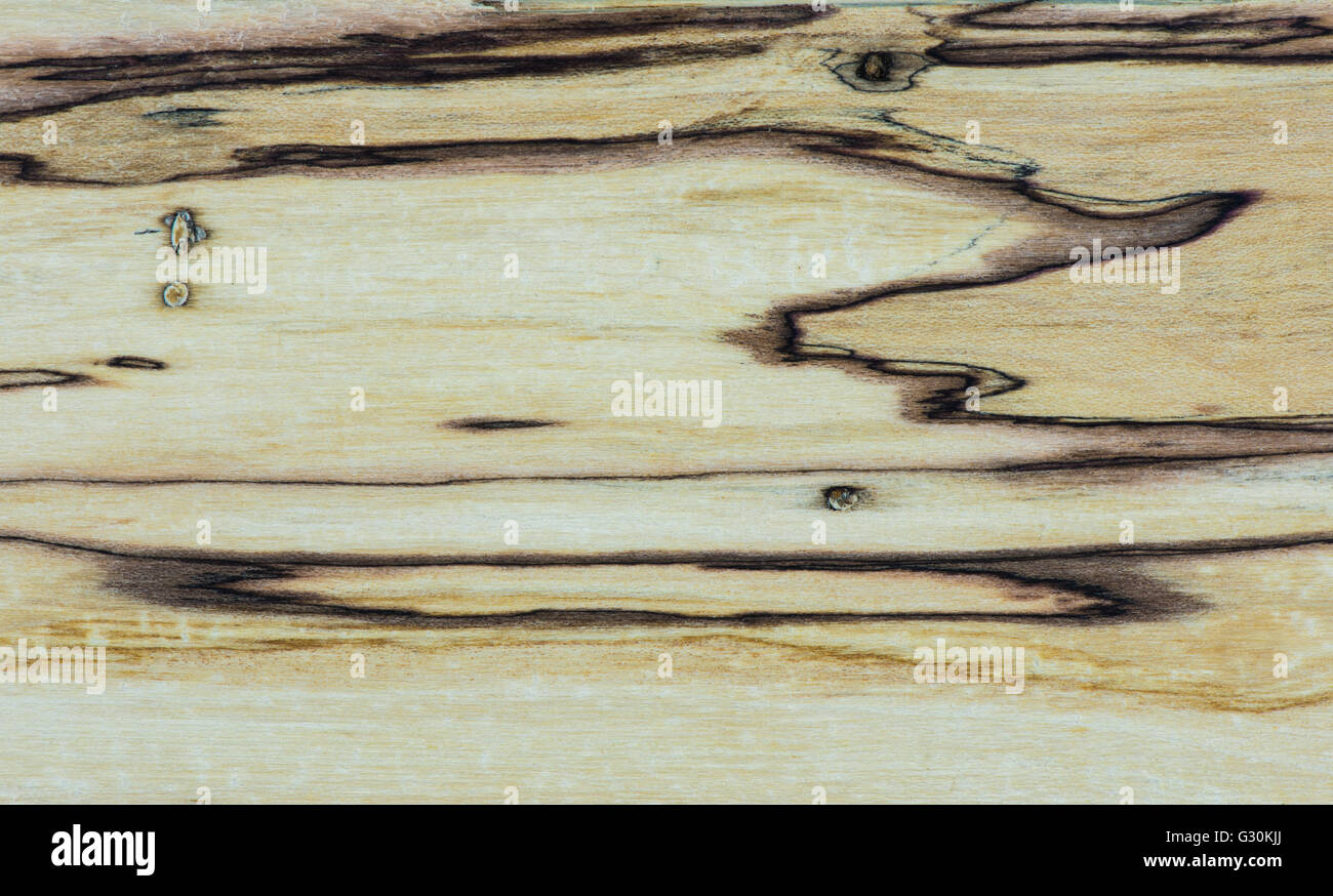 Old texture - Mapple Stabilised wood Stock Photo - Alamy