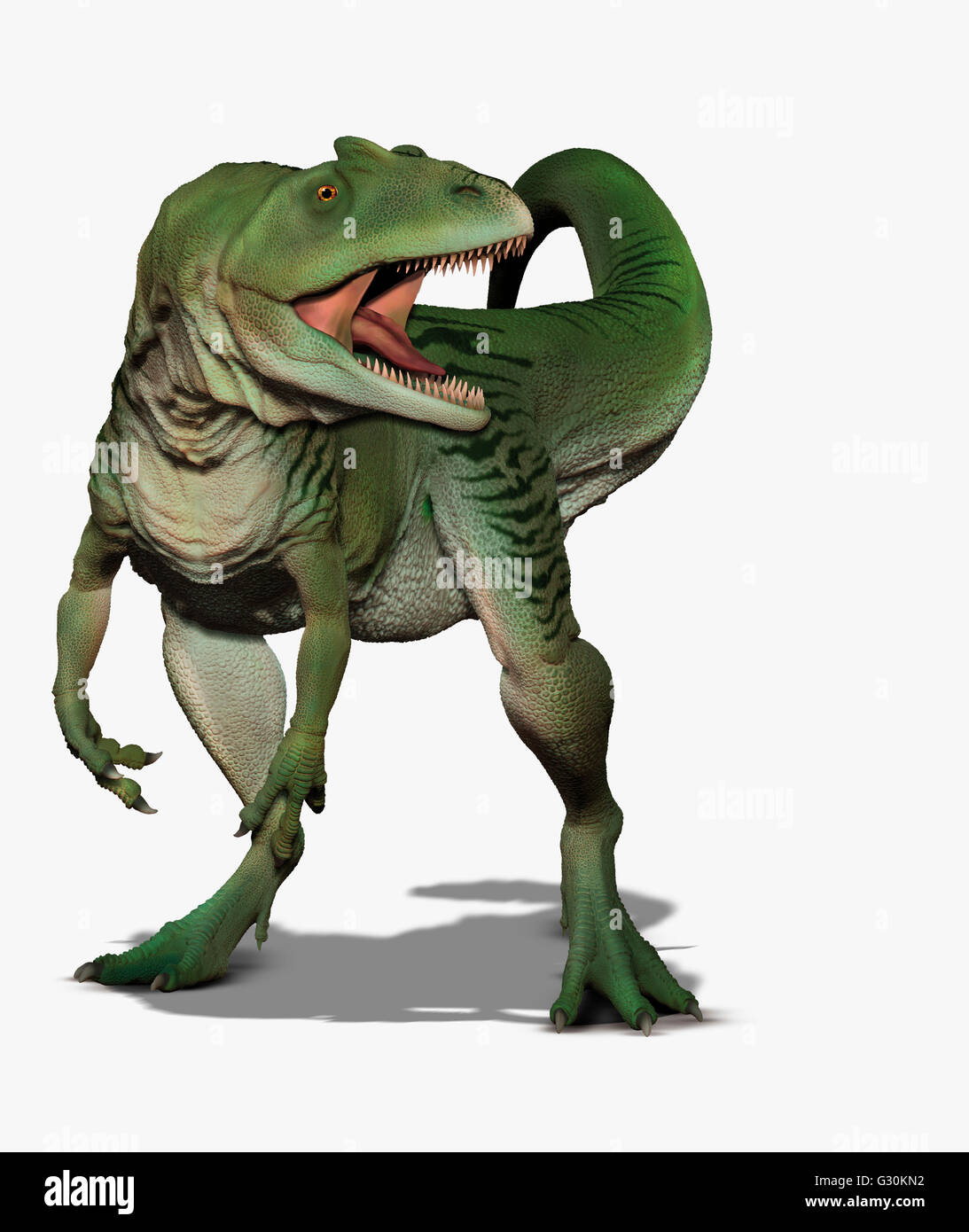 Close up allosaurus dinosaur hi-res stock photography and images - Alamy