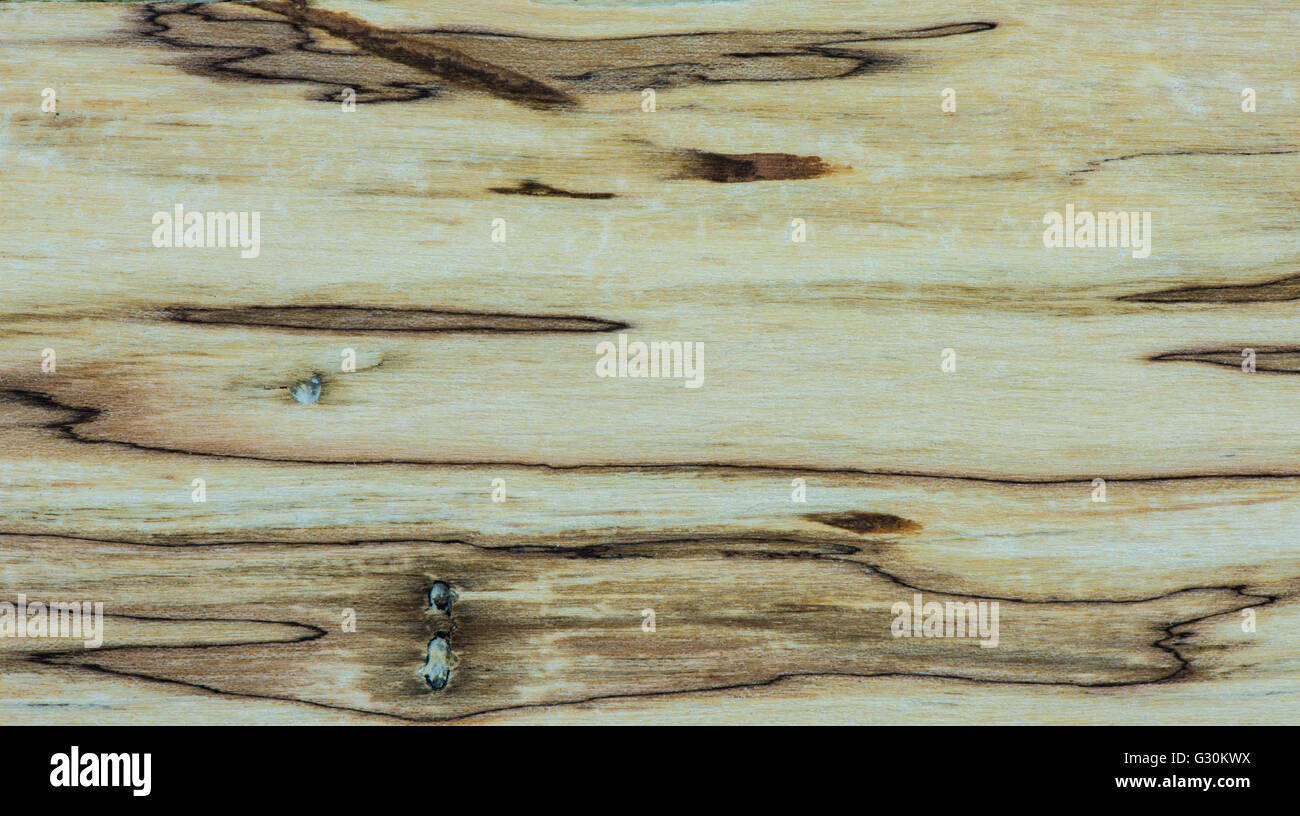 Old texture - Mapple Stabilised wood Stock Photo - Alamy