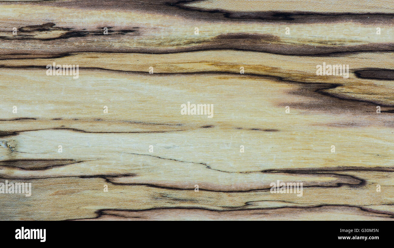 Old texture - Mapple Stabilised wood Stock Photo - Alamy