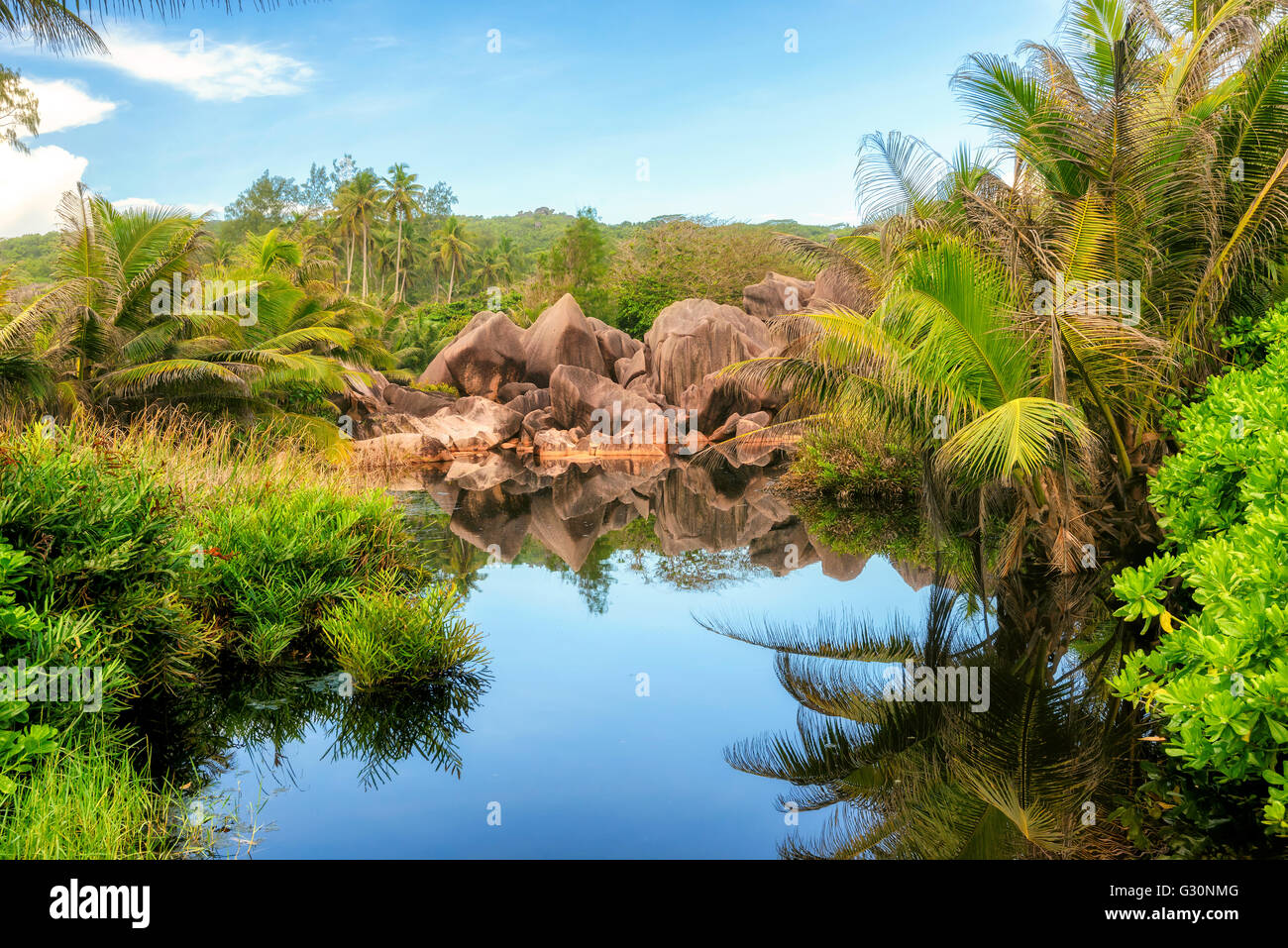Rocks and palms reflected in tropical lake in jungle Stock Photo - Alamy
