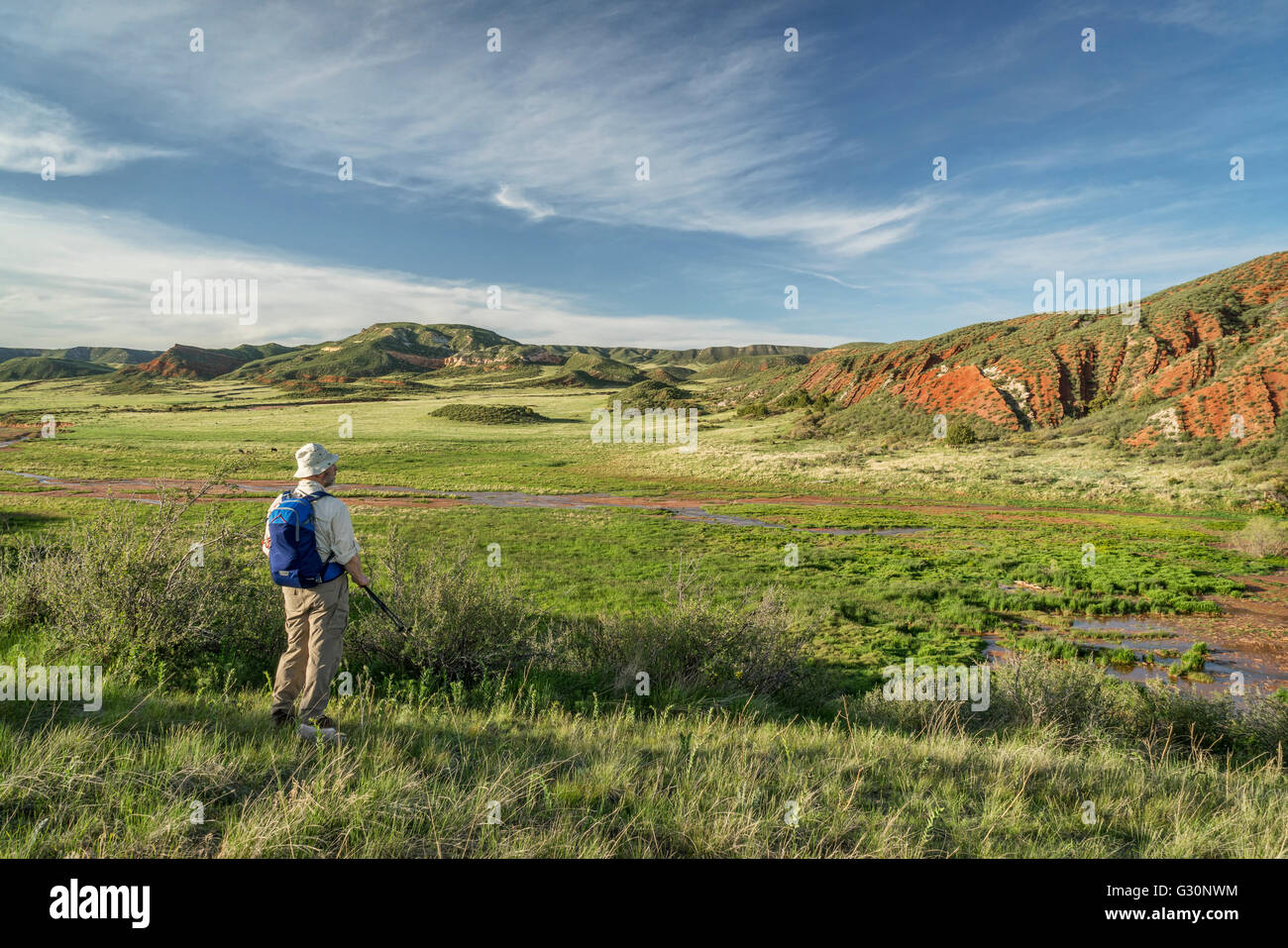 Cattle ranch in foothills of rocky mountains hi-res stock photography ...