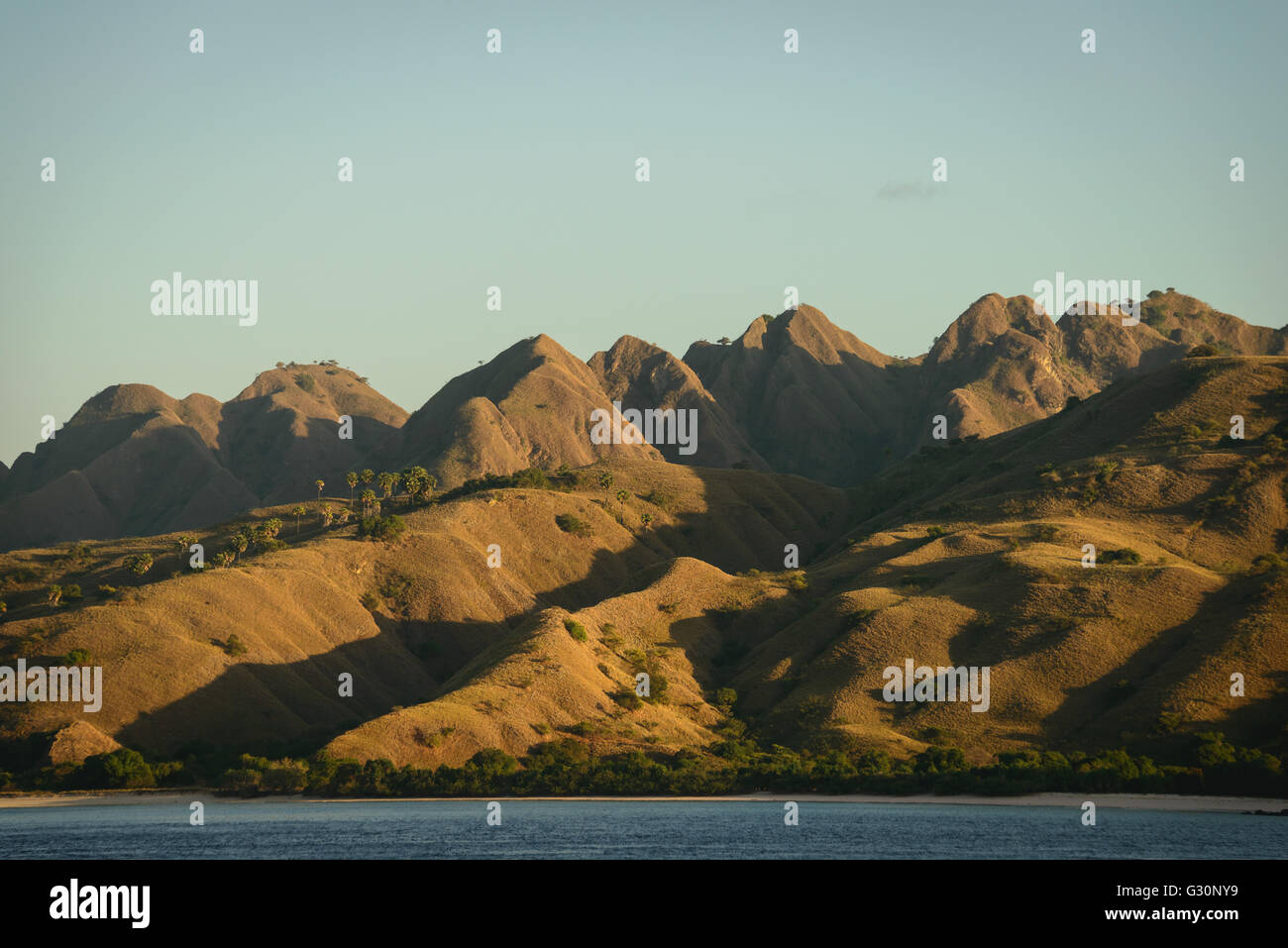 Hills on the coast of Komodo Island in Indonesia Stock Photo - Alamy