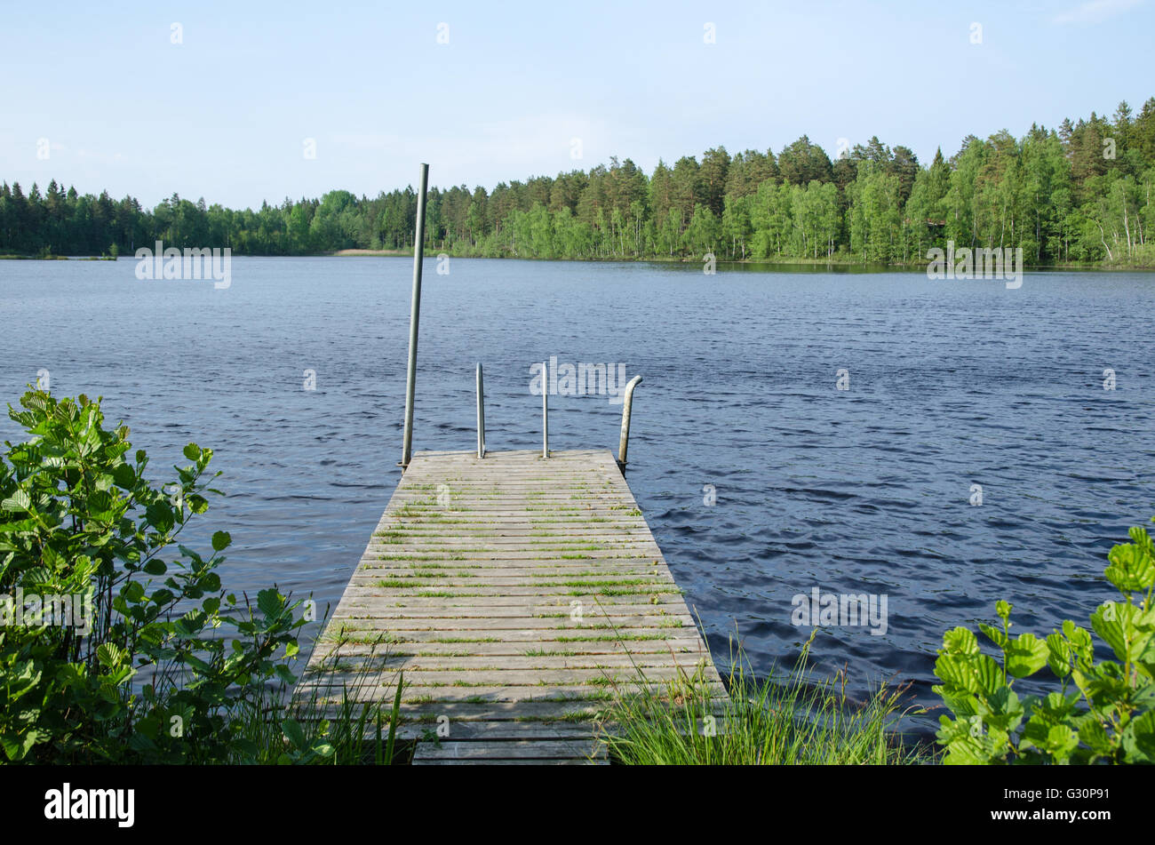 Old wooden bath pier in a small lake in the woods Stock Photo - Alamy