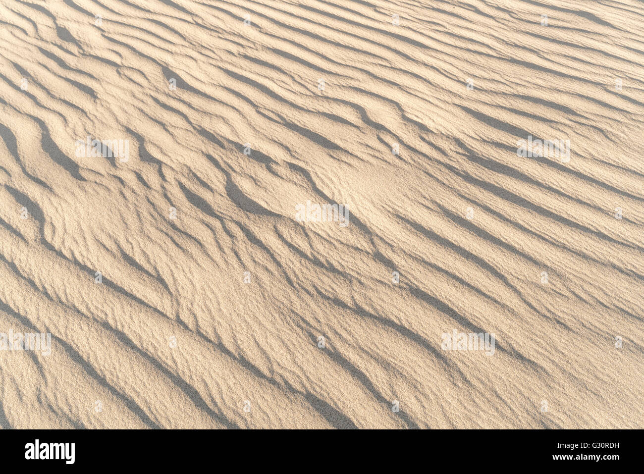 Detail of a vast deserted sandy landscape Stock Photo - Alamy