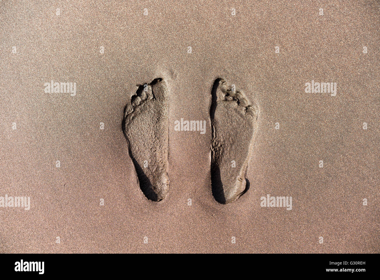 Human evolution hi-res stock photography and images - Alamy
