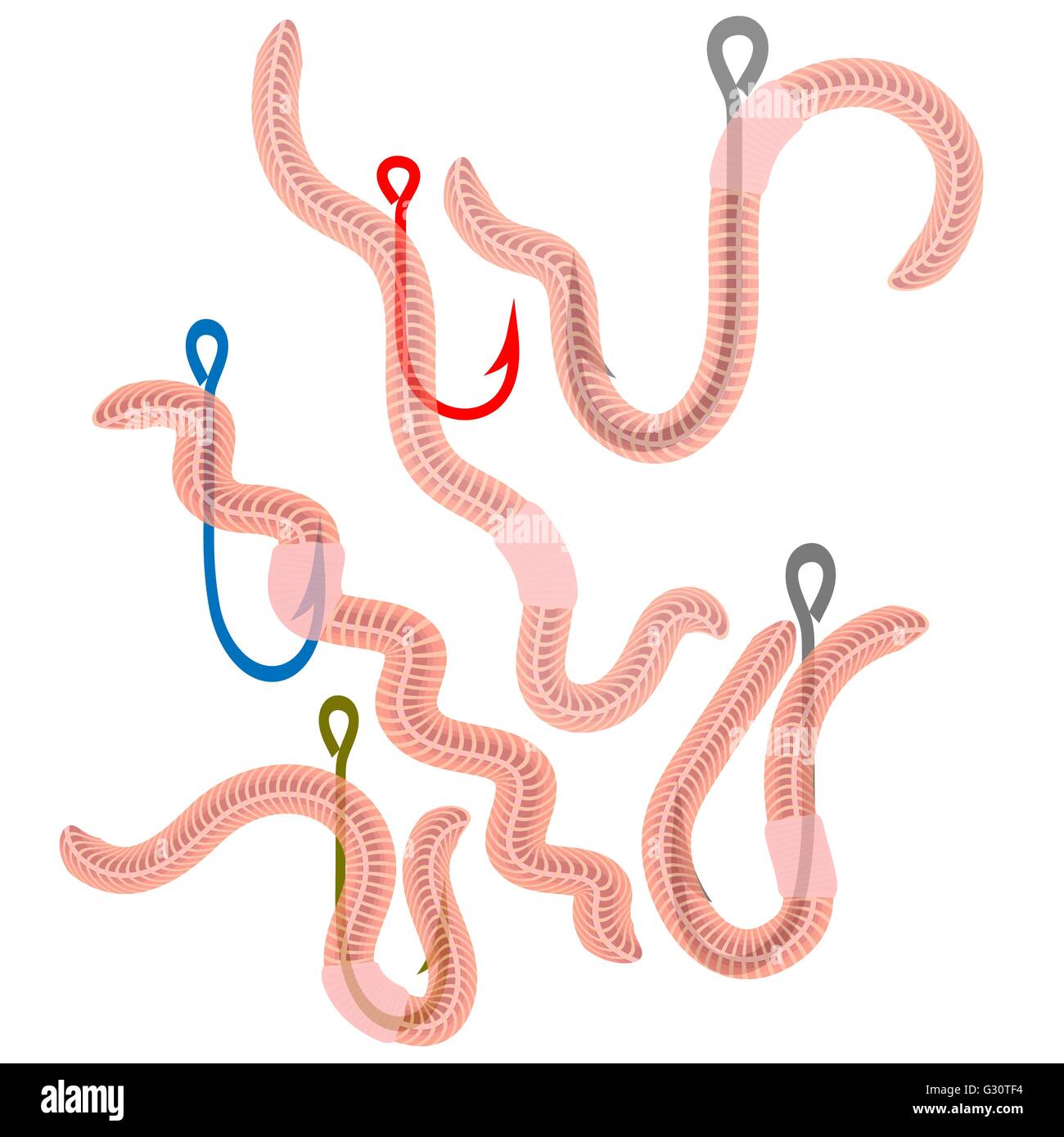 Red wiggler worms Stock Vector Images - Alamy