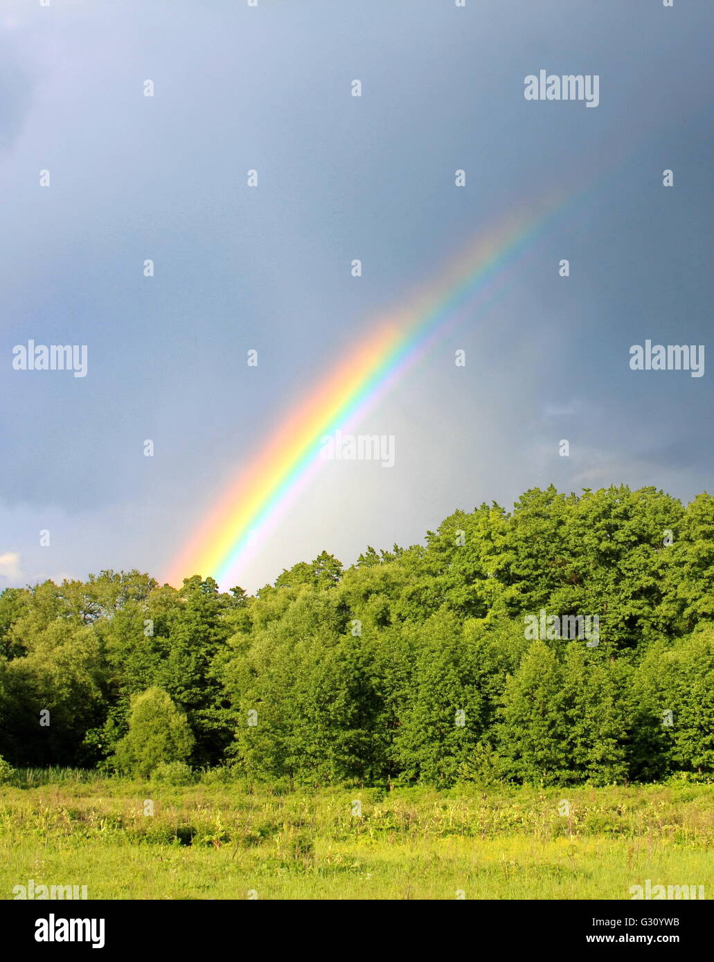 rainbow, coming from the forest and disappearing into the storm cloud ...