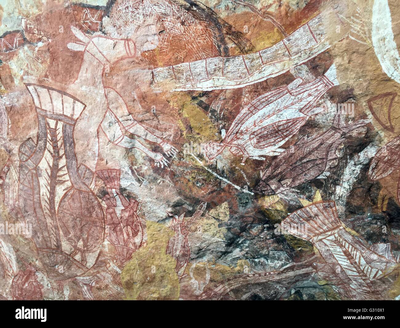 Aboriginal cave paintings at Injalak Hill at Gunbalanya (Oenpelli) in ...