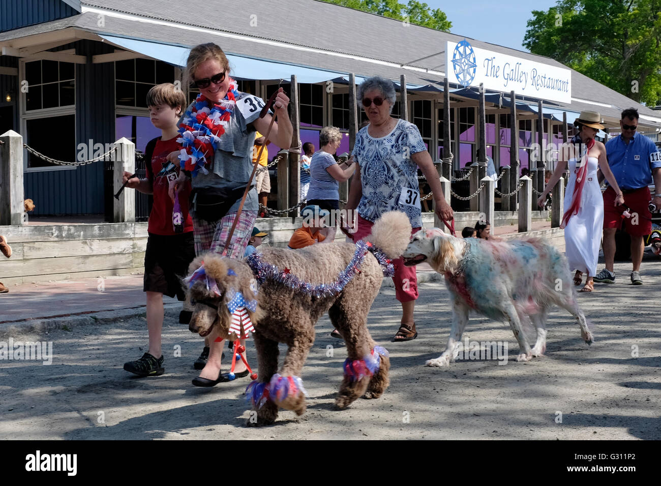 Dog parade hi-res stock photography and images - Alamy