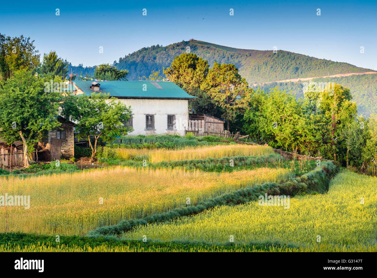 Eastern nepal hi-res stock photography and images - Alamy