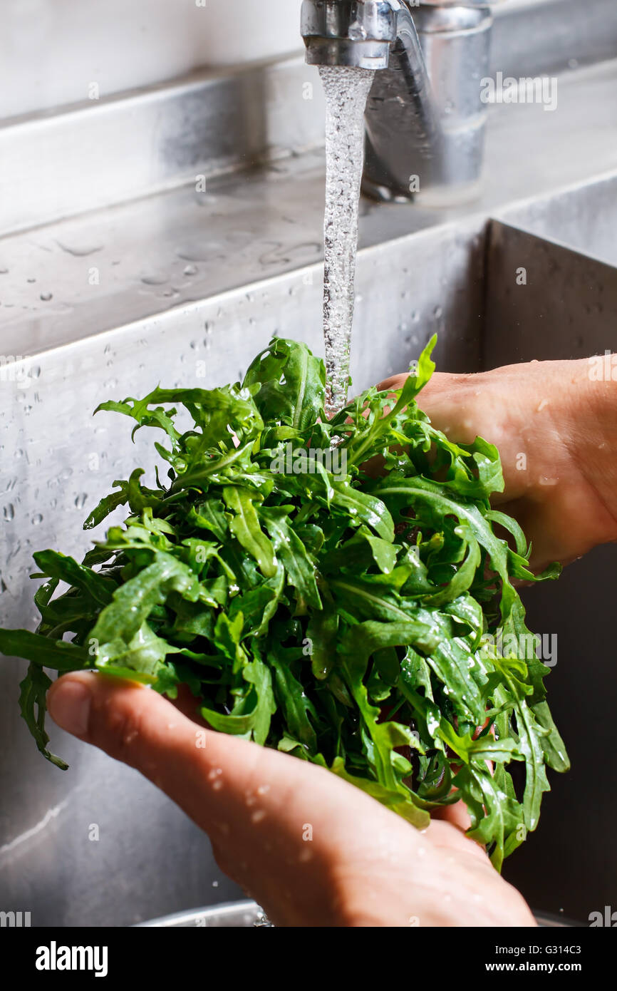 Roquette hi-res stock photography and images - Alamy