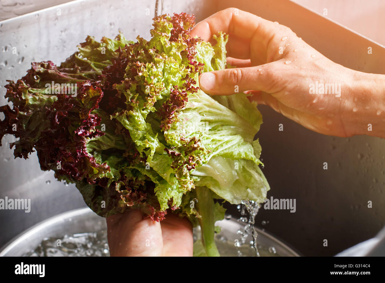 Lettuce wash hi-res stock photography and images - Alamy