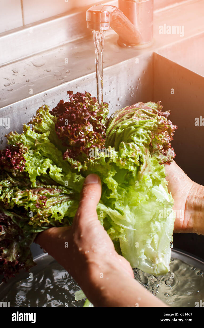 Lettuce wash hi-res stock photography and images - Alamy