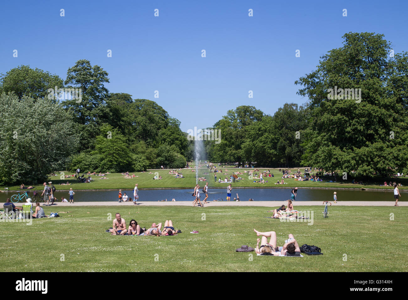 People sunbathing and enjoying the sun hi-res stock photography and ...