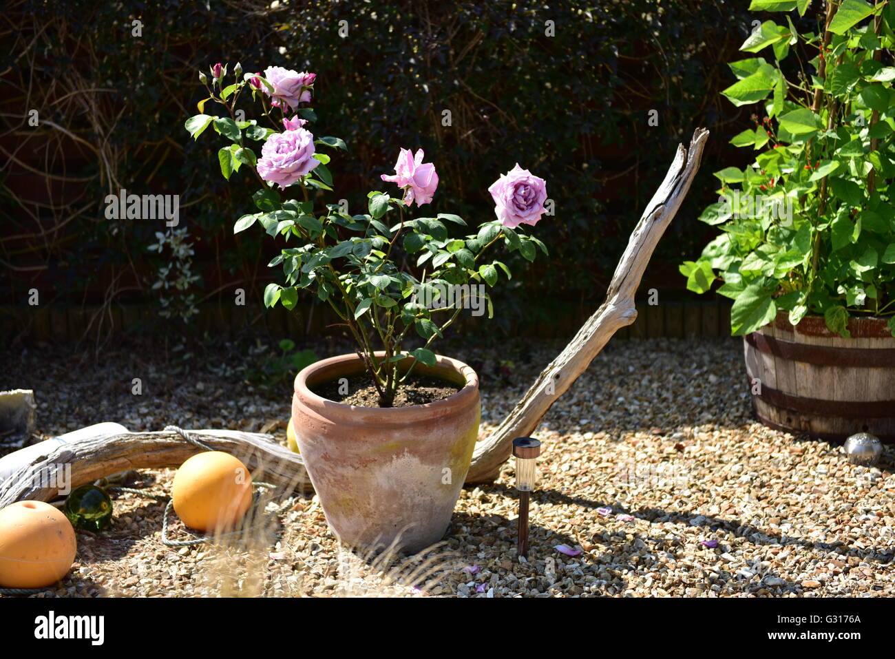 Terracotta with red pigment hi-res stock photography and images - Alamy
