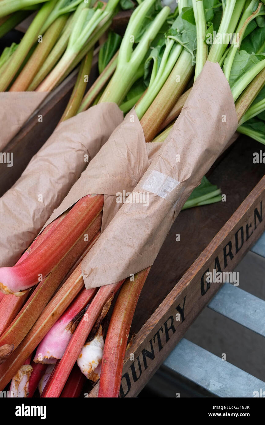 bunches of rhubarb wrapped in brown paper Stock Photo - Alamy