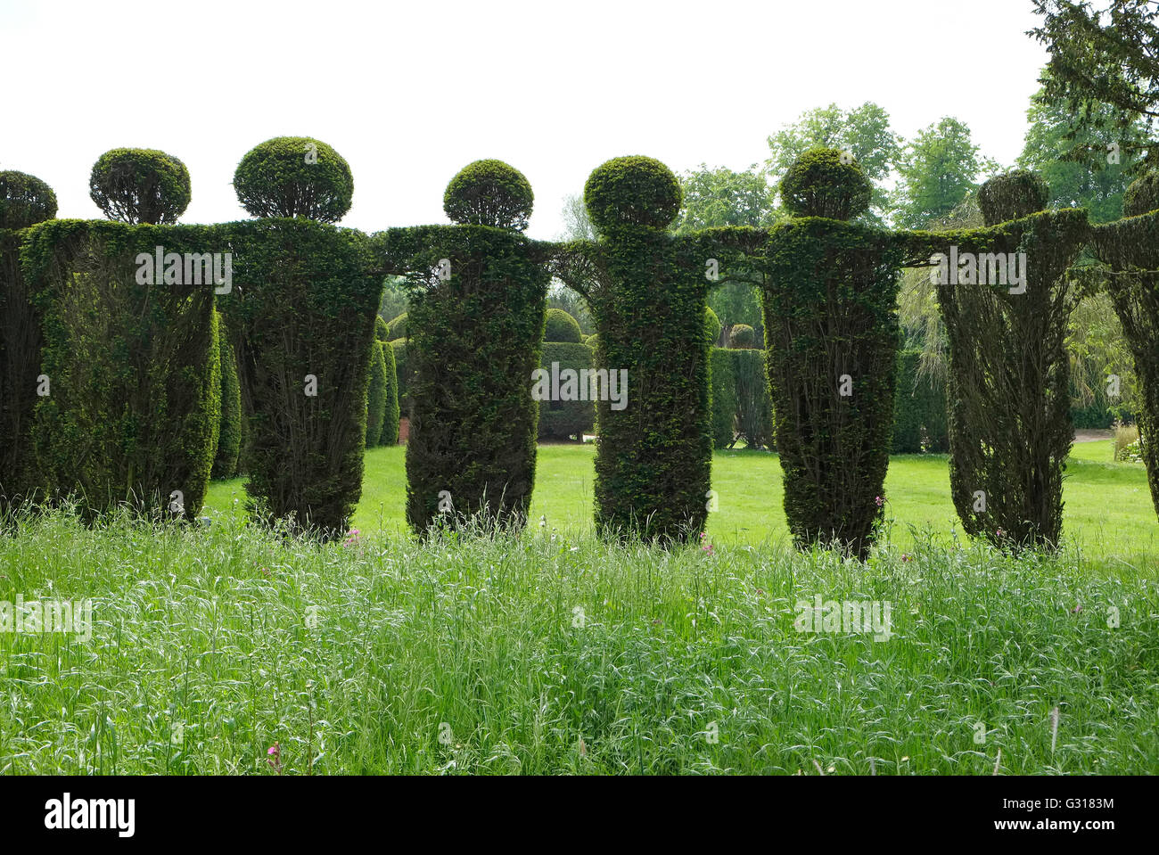 Paper chain tree hi-res stock photography and images - Alamy