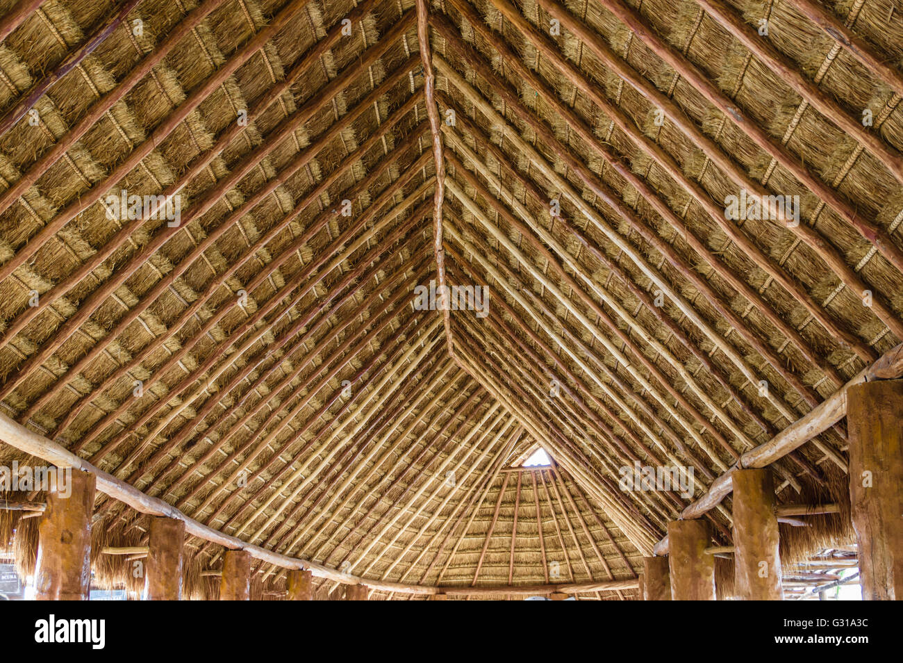 Detail of the thatched roof at the Costa Maya visitor center. Costa ...