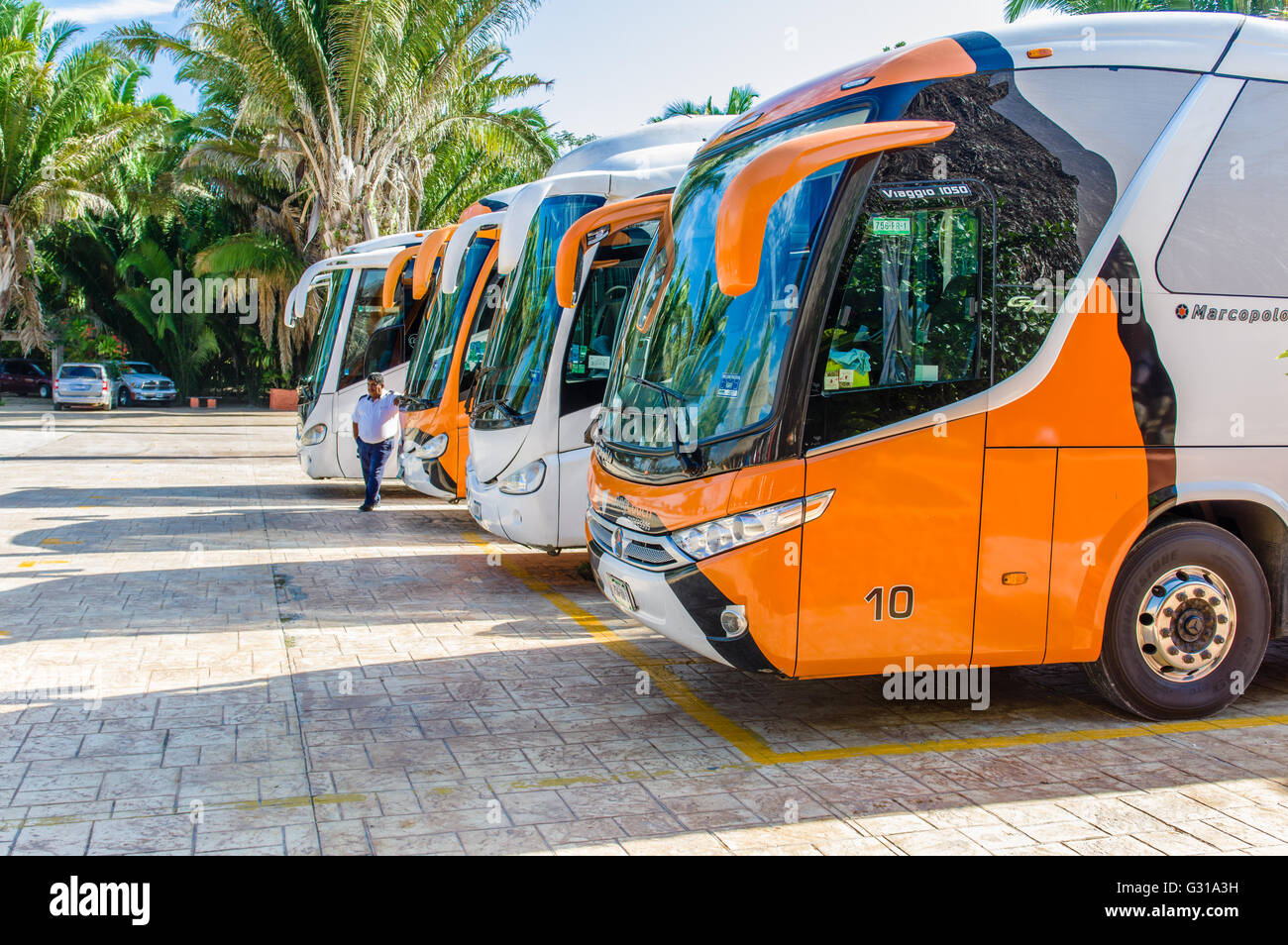 A bus driver waits while his passengers tour the Mayan ruins ...