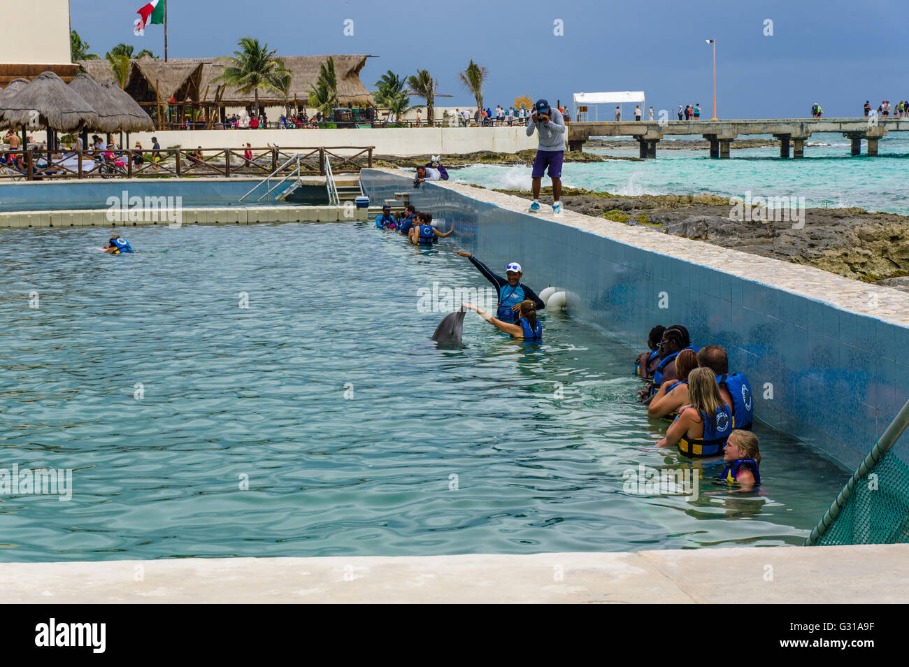 Tourists swim with dolphins at DOlphin Discovery pool in Costa Maya ...