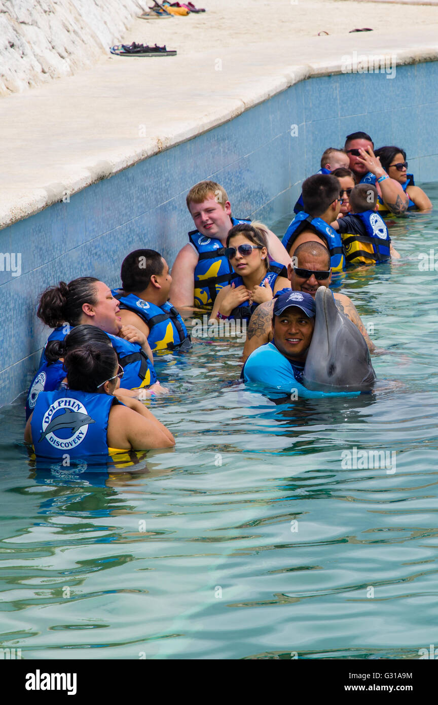 Tourists swim with dolphins at DOlphin Discovery pool in Costa Maya ...