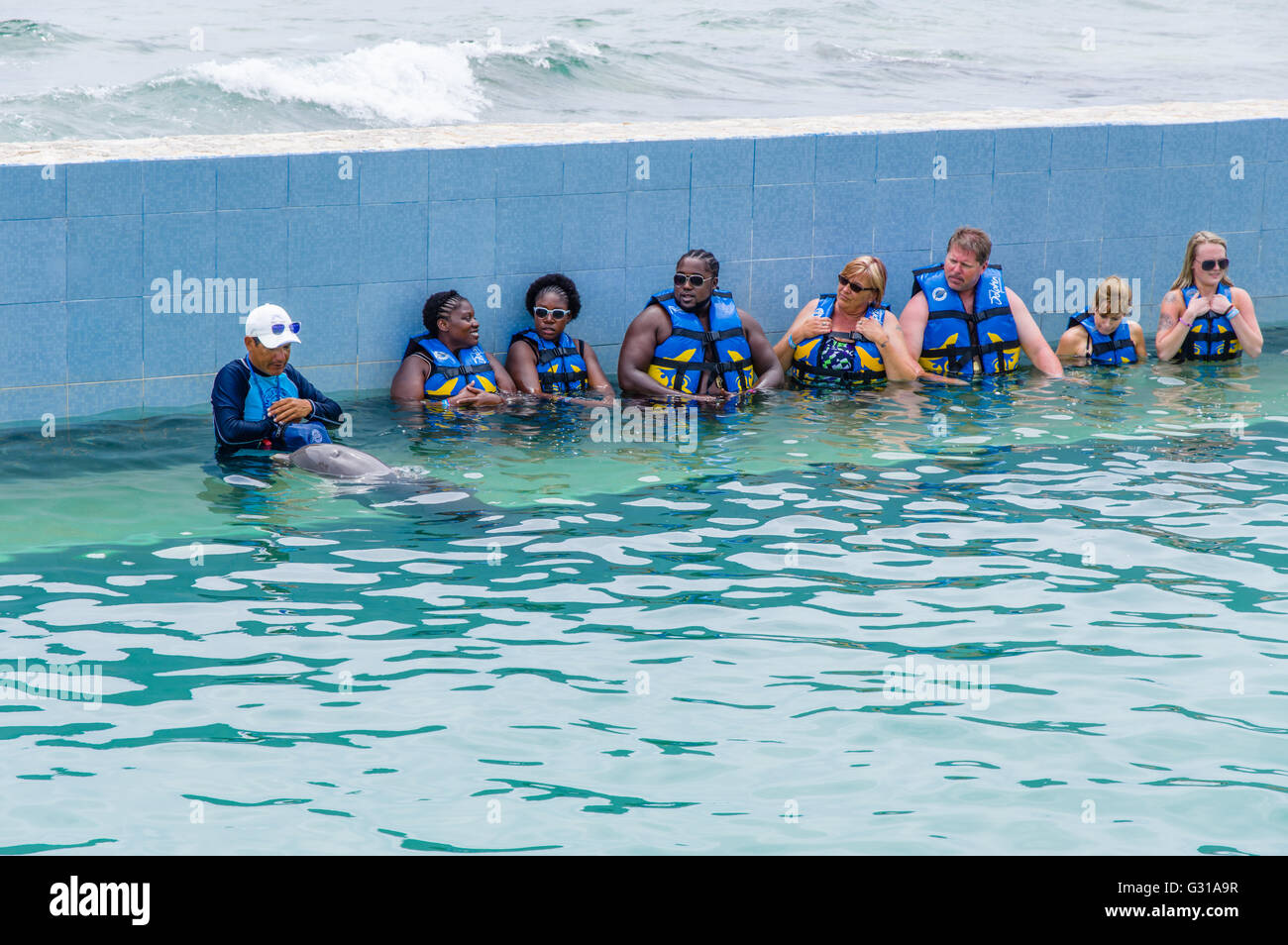 Dolphin pool hi-res stock photography and images - Alamy