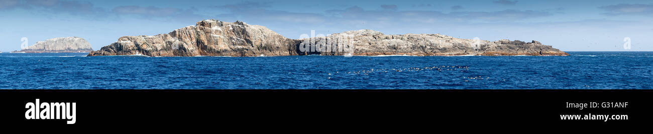 Panoramic image of Bounty Island in sunlight, New Zealand sub-Antarctic ...